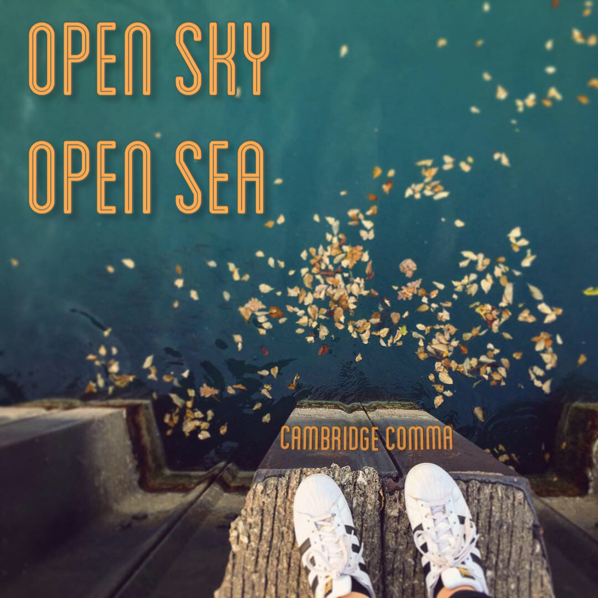 Open Sky Open Sea | Cambridge Comma