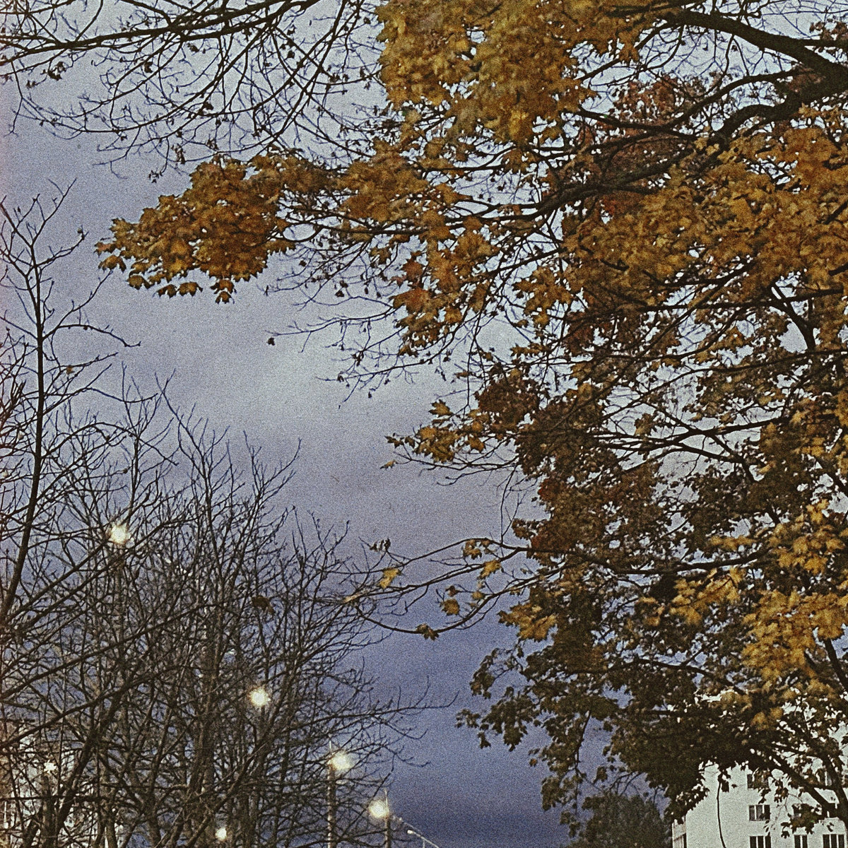 Autumn Slowed Collection | PERMSKY KRAY