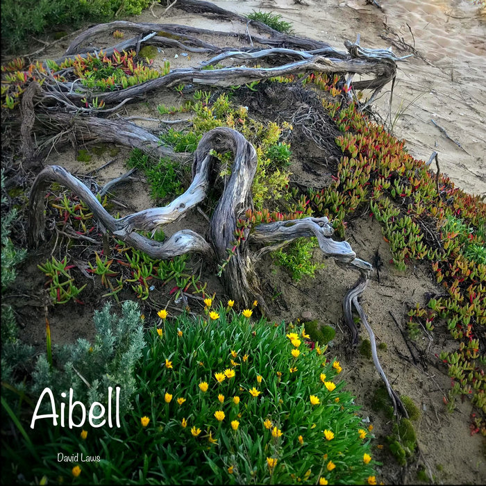 Aibell | David Laws