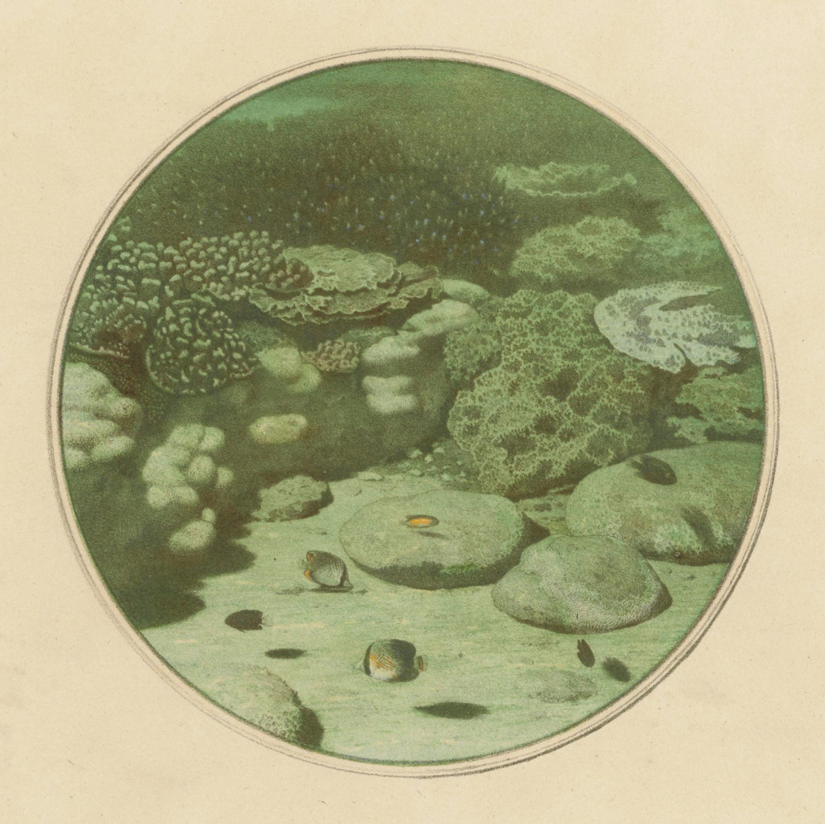 Underwater | Qualo Infinity