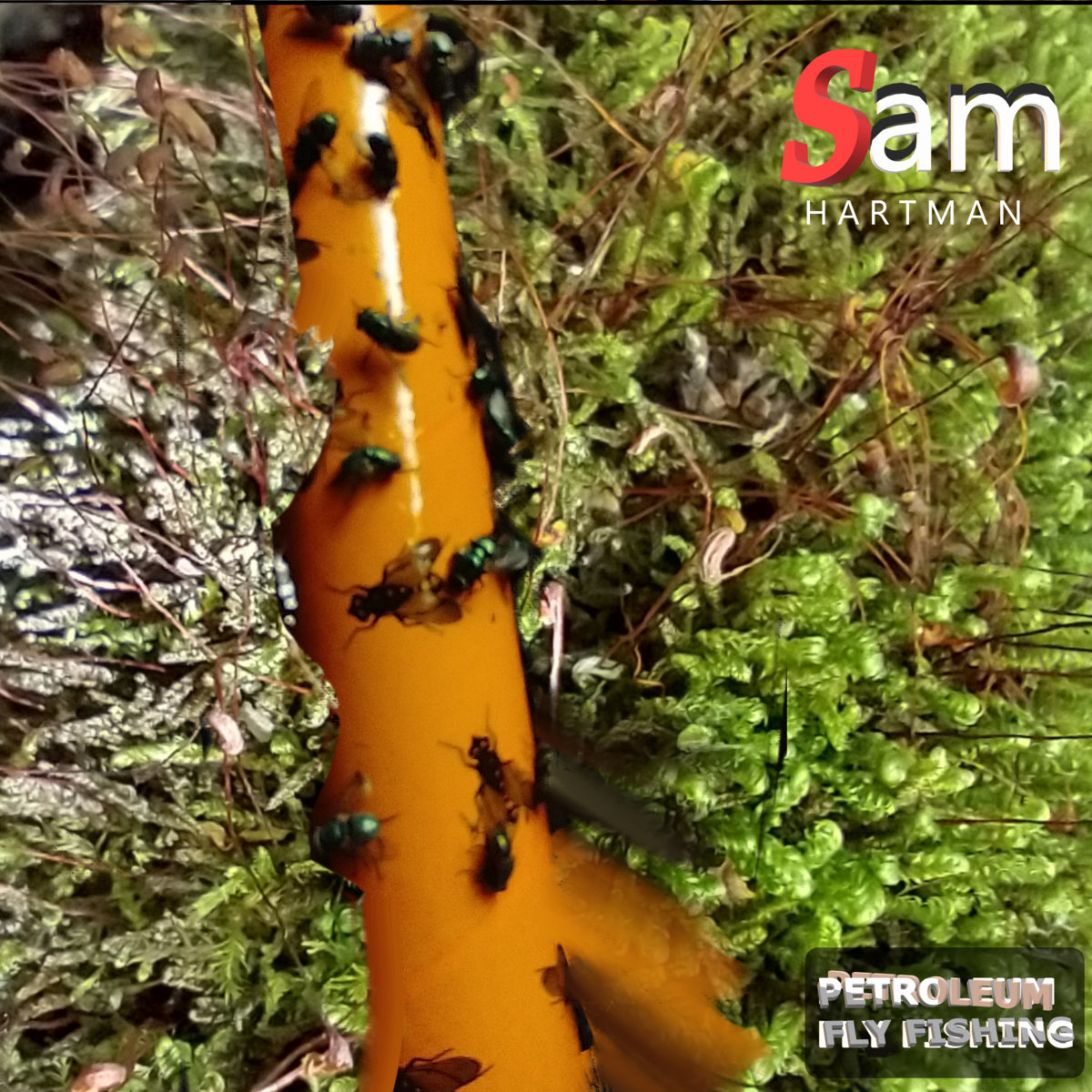 Petroleum Fly Fishing | Sam Hartman