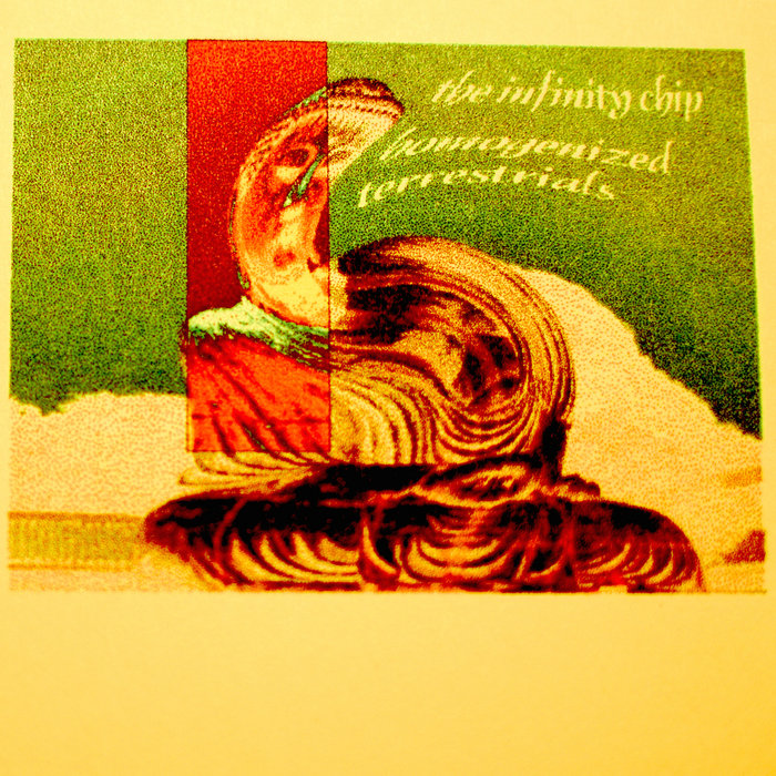 the infinity chip | homogenized terrestrials
