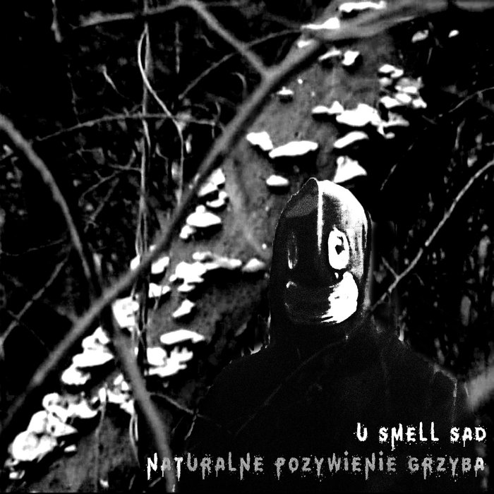 u smell sad - naturalne pozywienie grzyba (single) | u smell sad ...