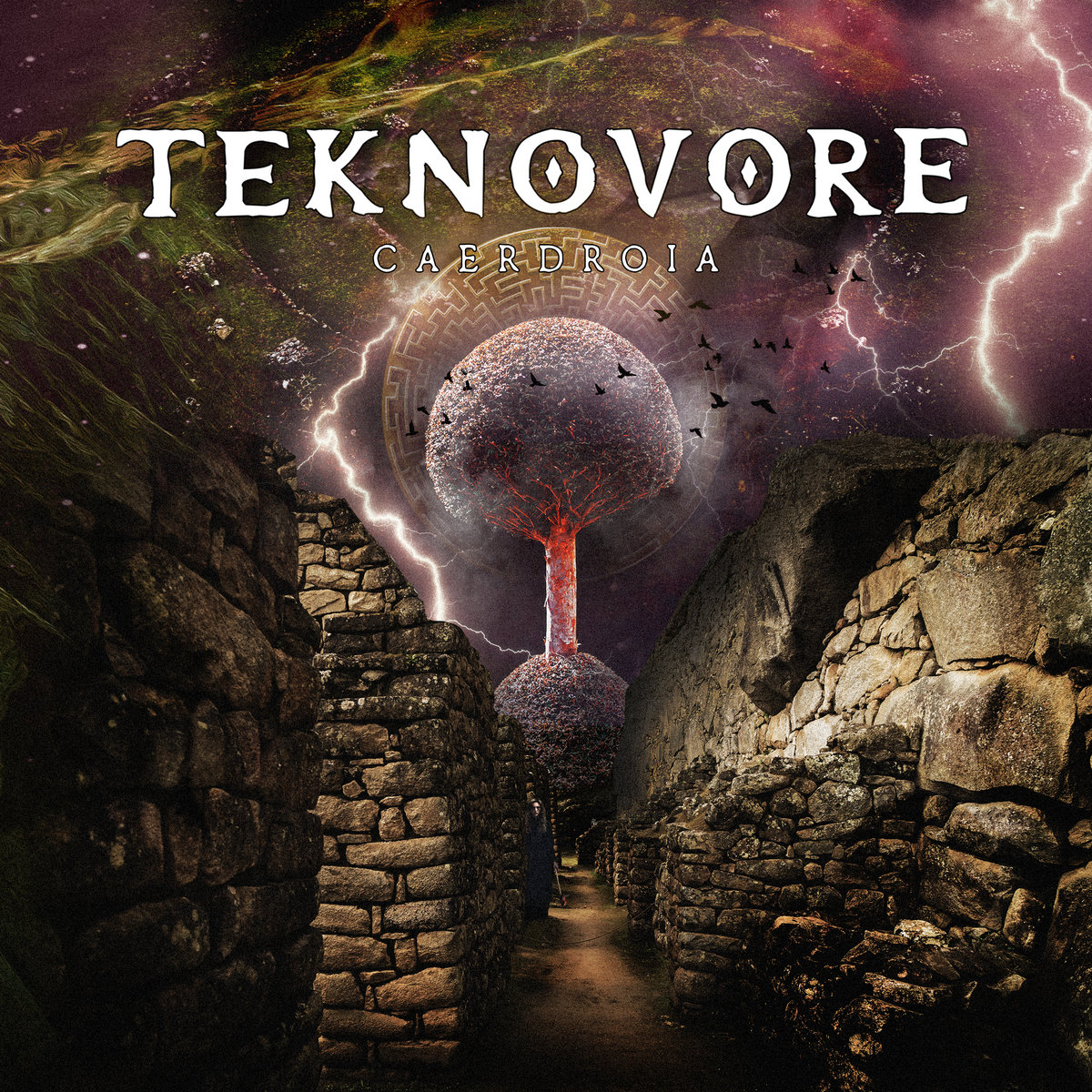 Caerdroia | TeknoVore