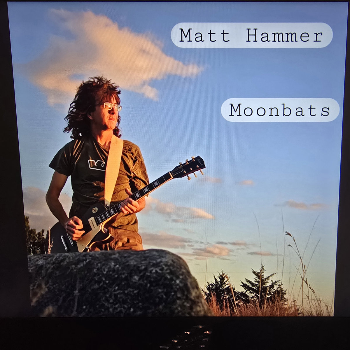 Moonbats | Matt Hammer