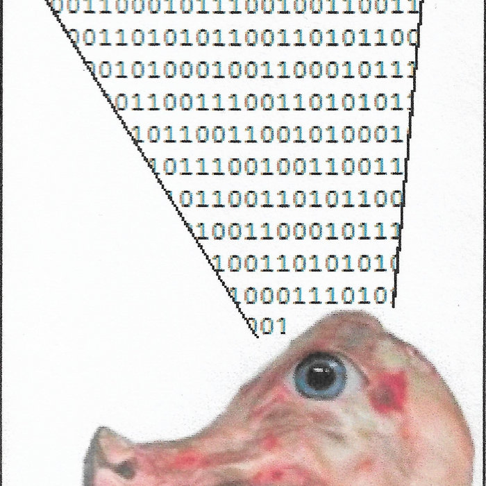 Cull | Zebra Mu | Michael Ridge