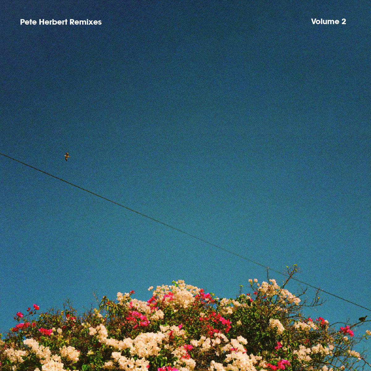 Remixes Volume 2 | Pete Herbert