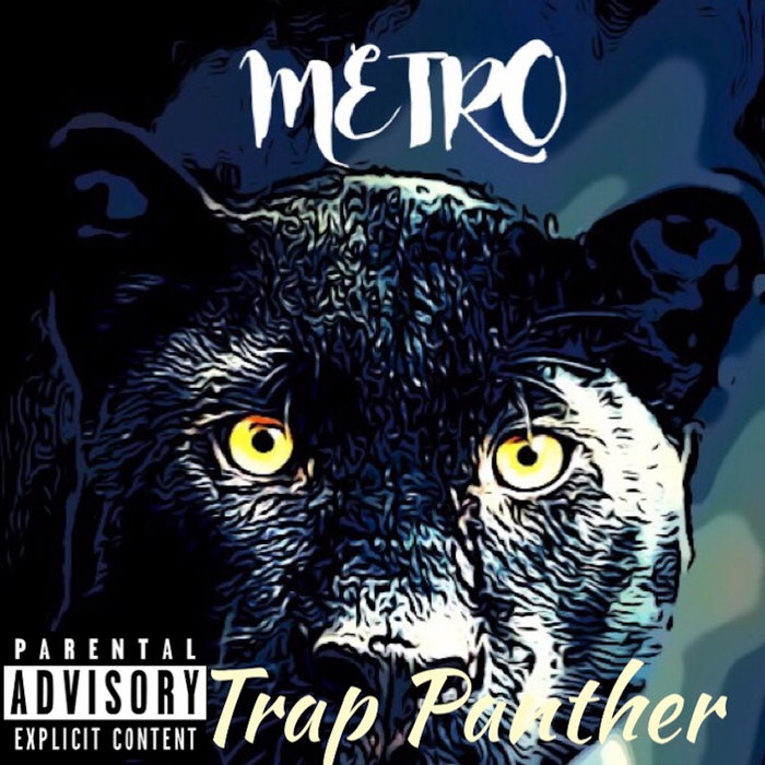 TRAP PANTHER | METRO
