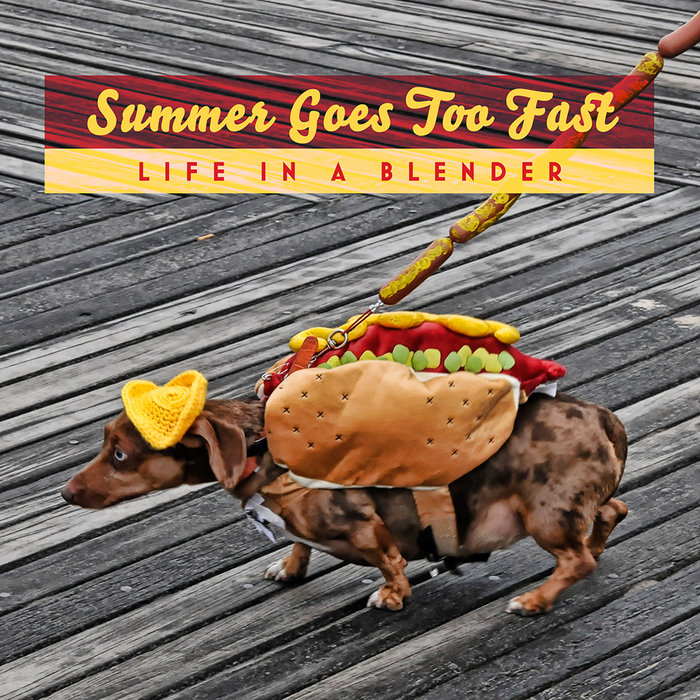 Summer Goes Too Fast | Life in a Blender