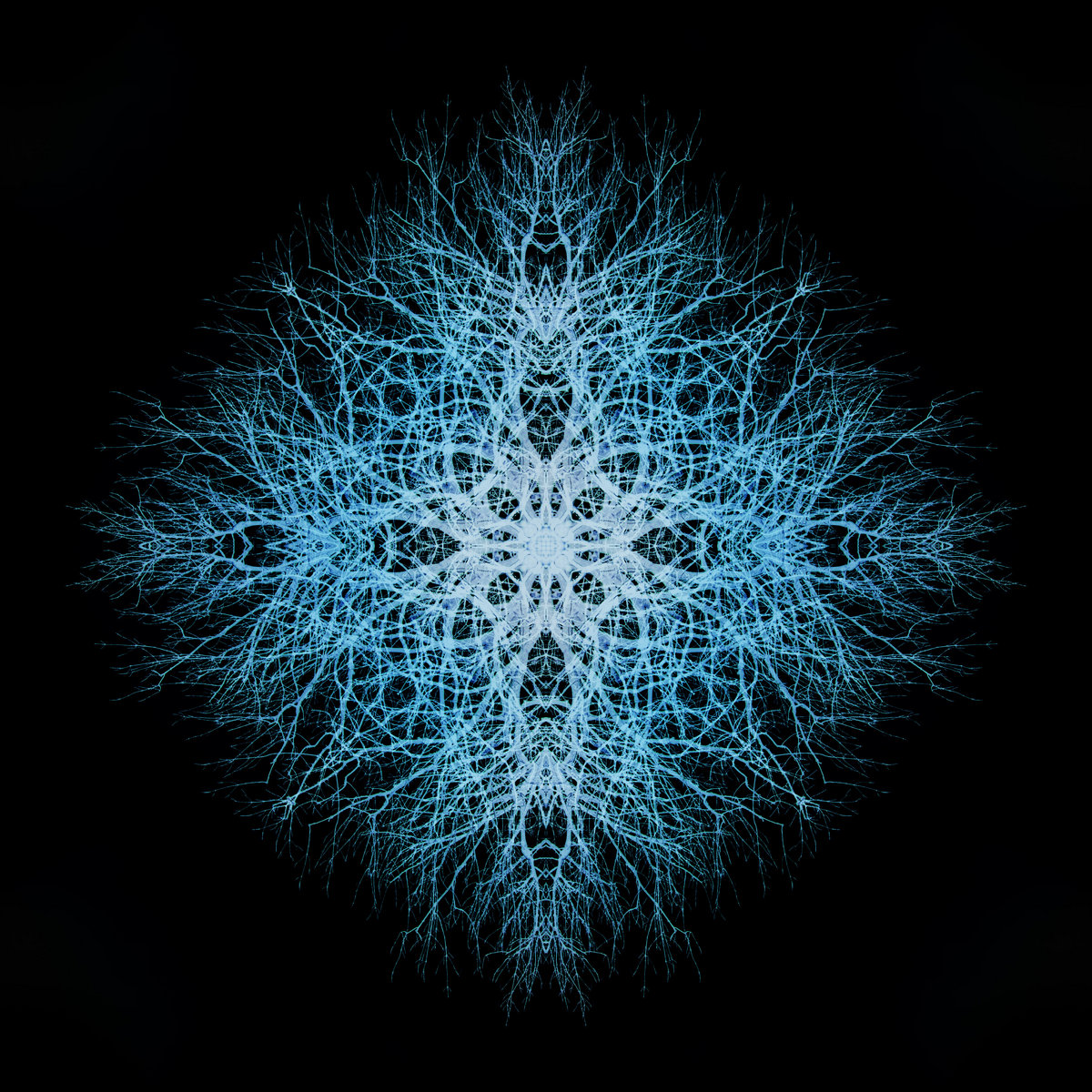 The Watchman Of The Night | DTime