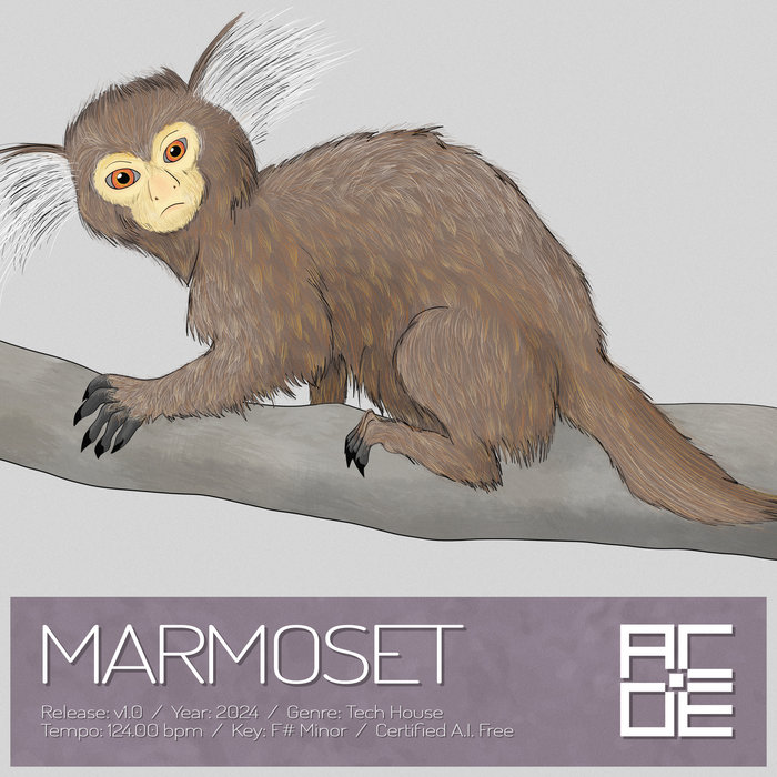 Marmoset | A.COE