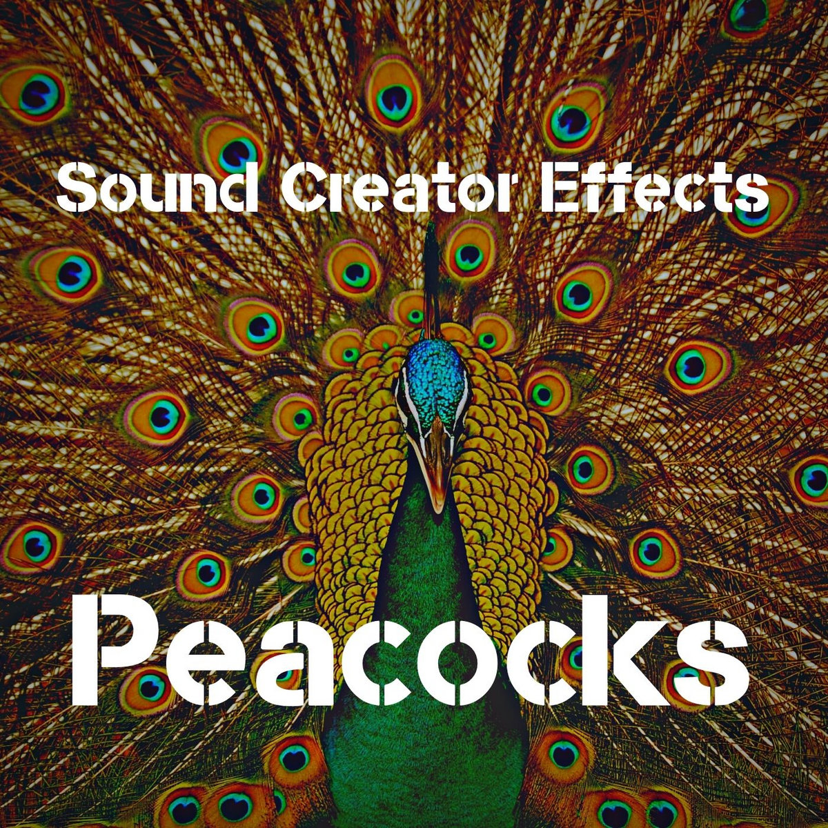 Peacocks | Sound Creator (Royalty-Free Effects)