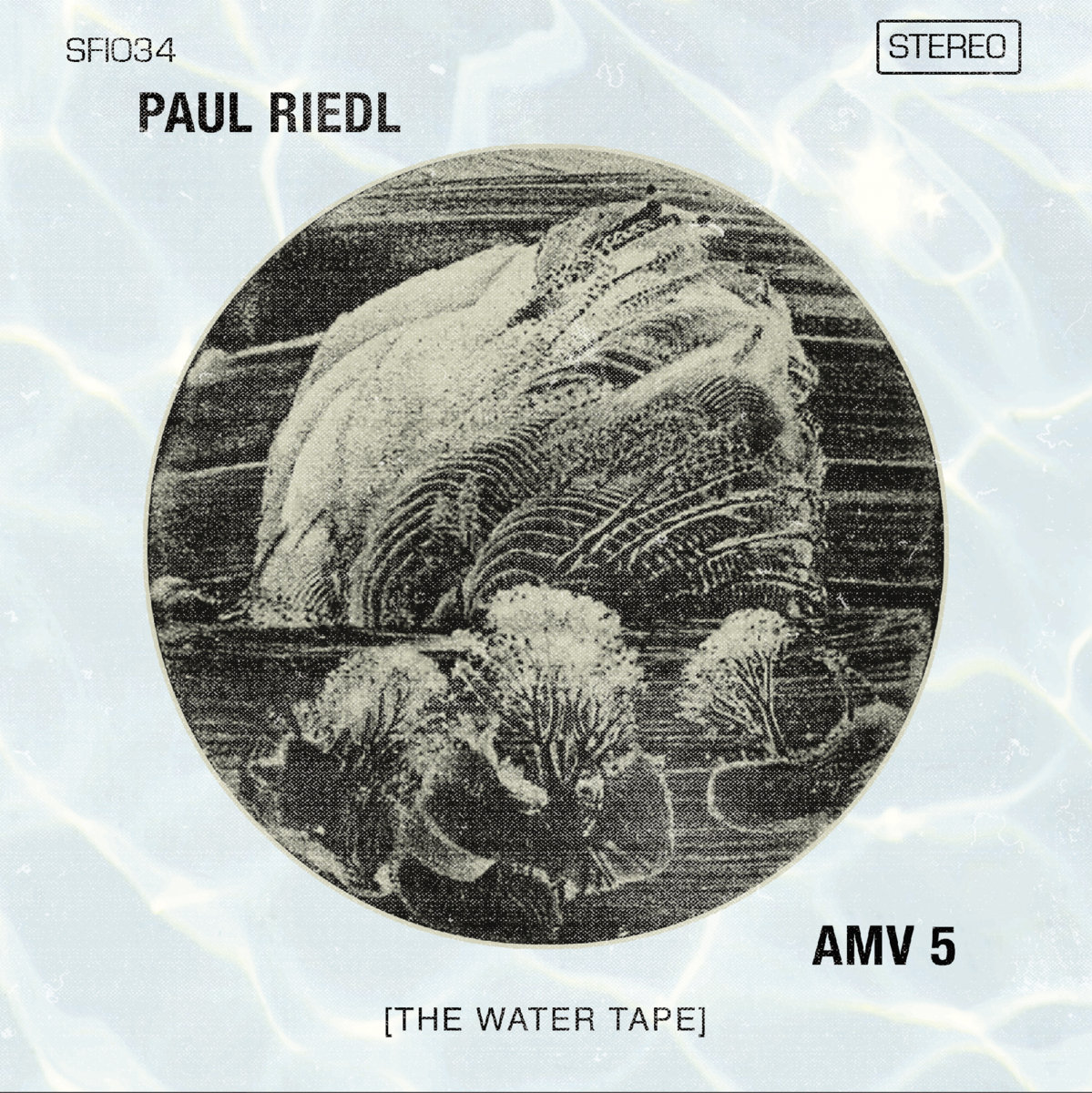Ambient Mixtape Vol. 5 [The Water Tape] | Paul Riedl