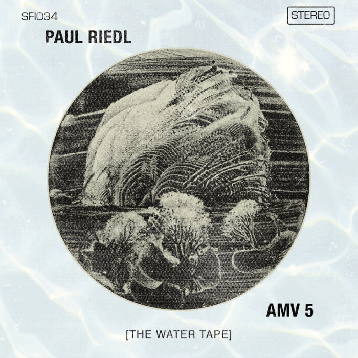 Paul Riedl | Linktree