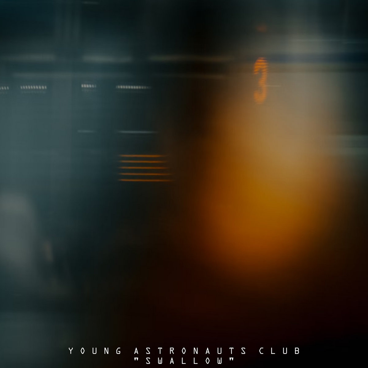 Swallow | Young Astronauts Club