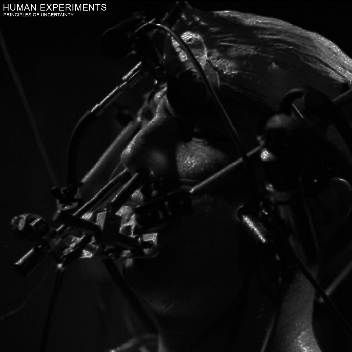 Human Experiments - Principles of Uncertainty | Human Experiments ...