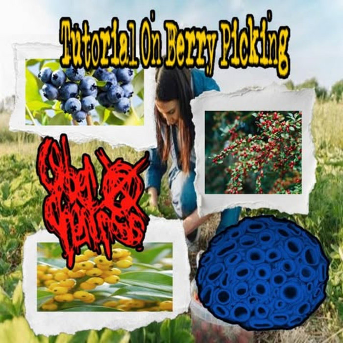 split w/Pielmorrgaroth | cyberchondriasis