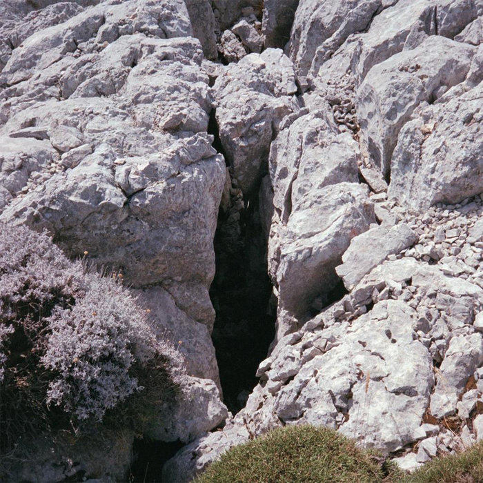 We are fluid ft. L. Camus-Govoroff | Radical Softness