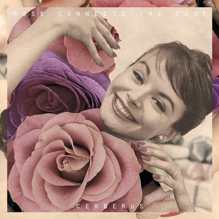 Cerberus | Rose Connects the Code