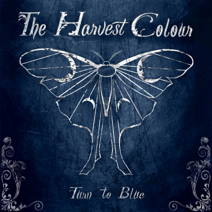 Turn to Blue | The Harvest Colour