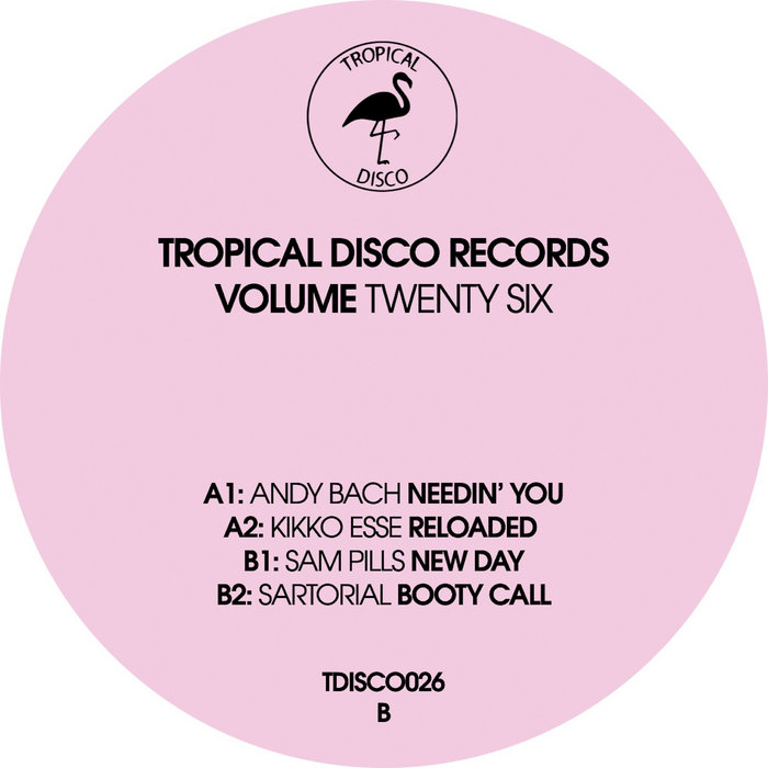 Tropical Disco Edits Volume 26 | Tropical Disco Records