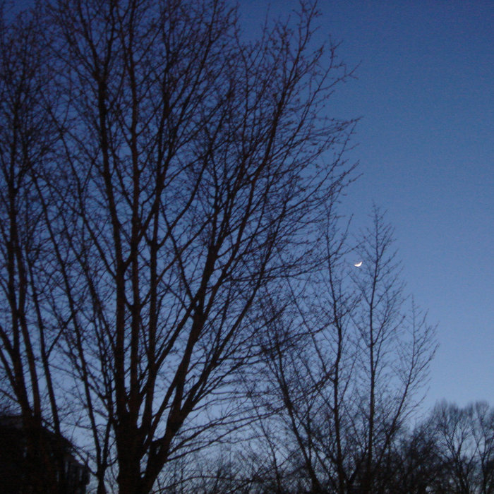 Alexander Supertramp | Bruno Brocchi