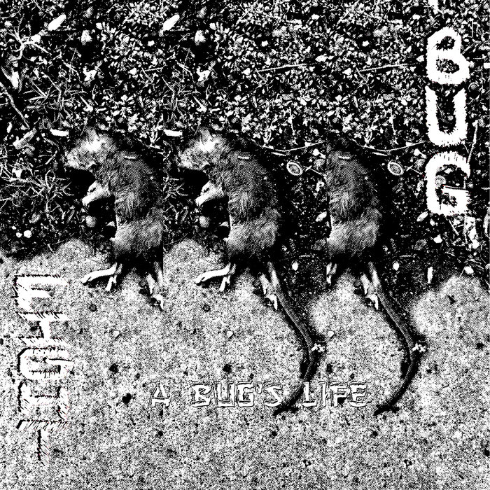 A Bug's Life | Bug Fight