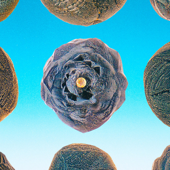 Hyper High | Almeeva