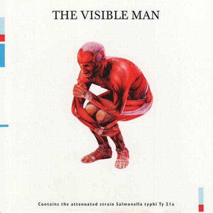 The Visible Man | David Byrne