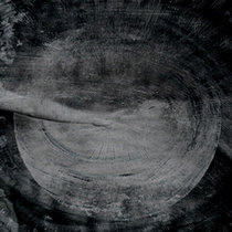 Crescent Shaped Scars | Covered In Sand | Avian