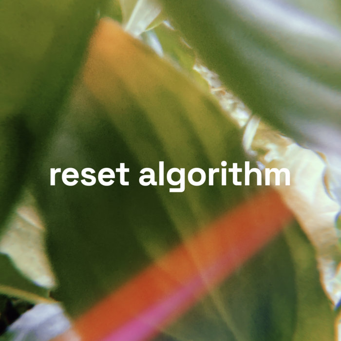 reset algorithm | Michał Milczarek