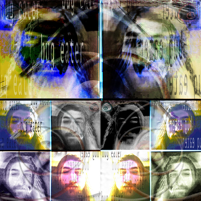 Asking A Question / Where It's Nice | bug eater | Bug Eater