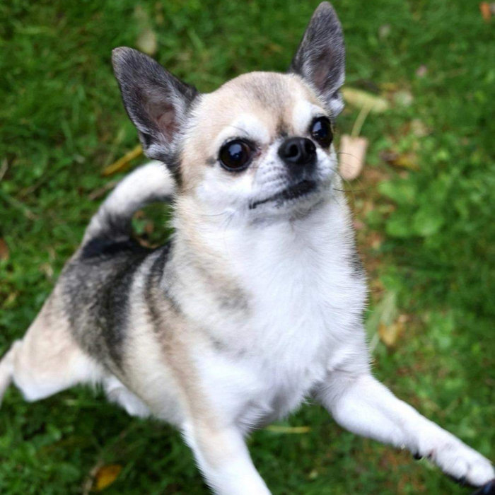 Basil Funk | CapperCase