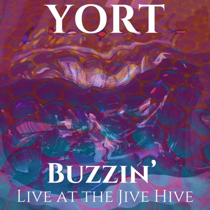 Buzzin' (Live at the Jive Hive) | Yort