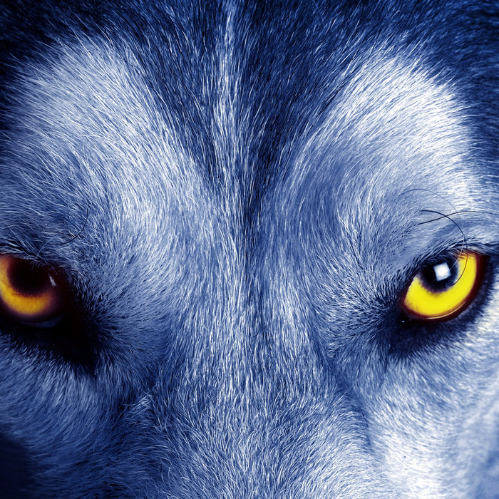 Shawn and Dave's Werewolf Album: Demo | Dave Ciciotte