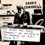 Dave Datblygu's Search In English For The House Of Tolerance ...