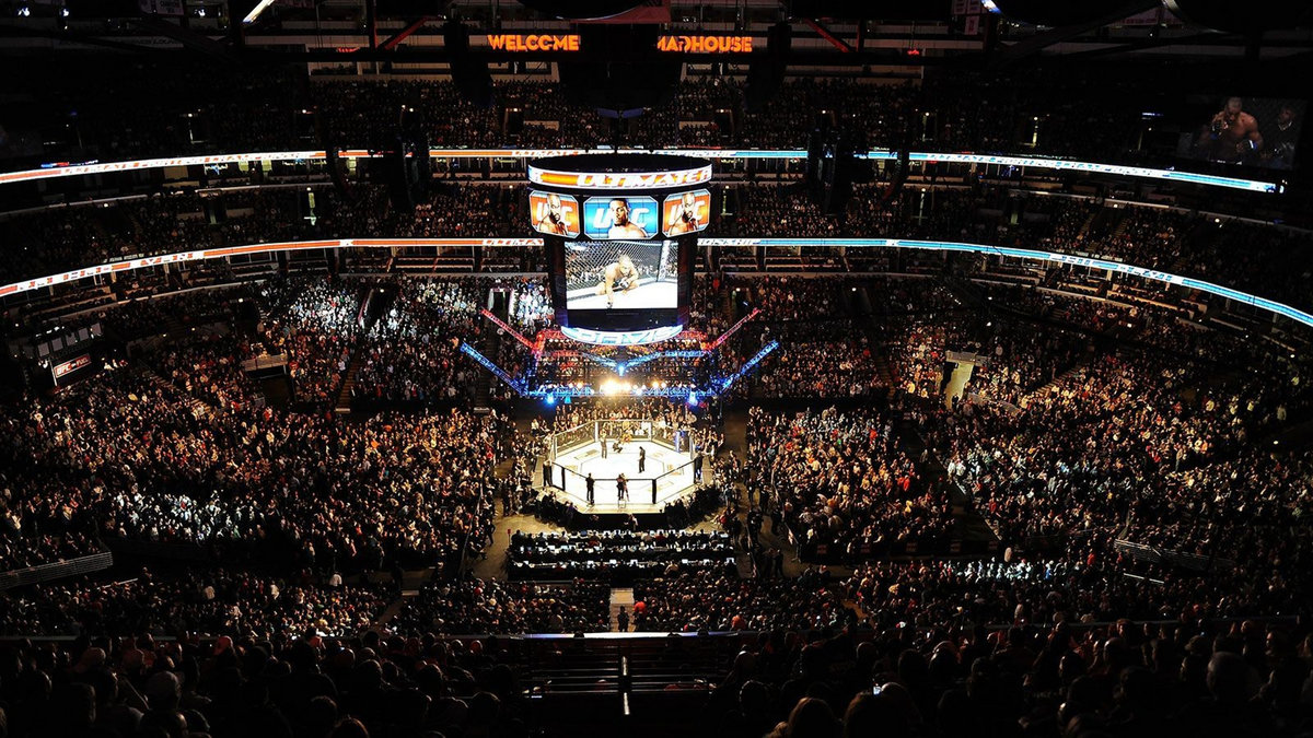 Here'S Live Almighty Fighting Championship 40 live fight events in 17 ...