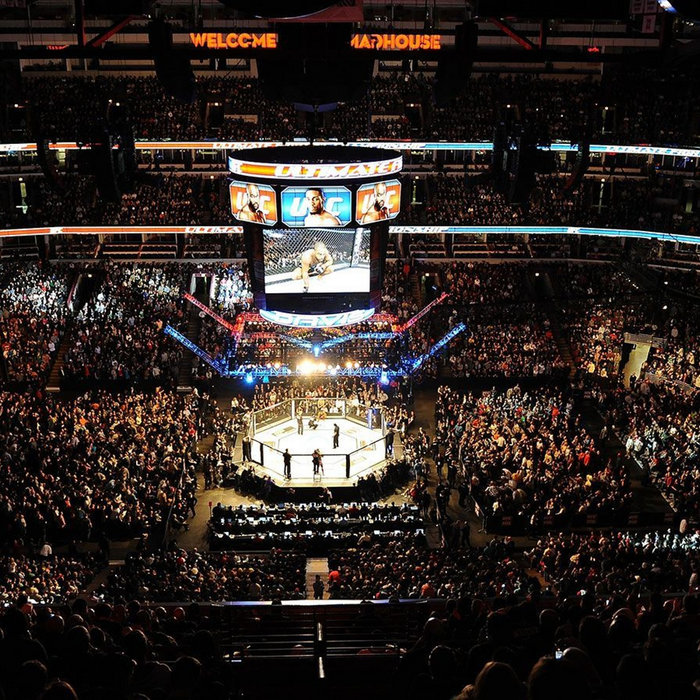 Here'S Live Almighty Fighting Championship 40 live fight events in 17 ...