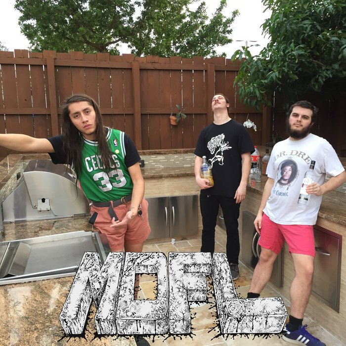 MDFL/Septic Assault Split | MxDxFxLx