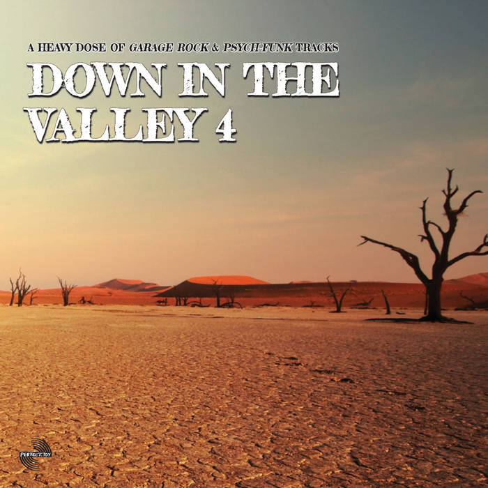Down In The Valley 4 | V/A | perfecttoyrecords