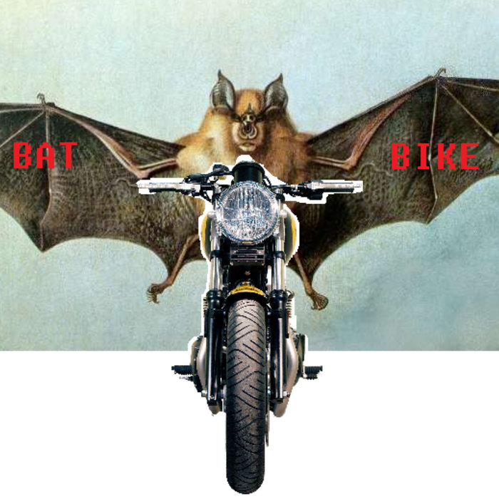 BAT-BIKE'S GREATEST HITZ VOL. I - KILLING TWO BATS WITH ONE STONE | BAT ...