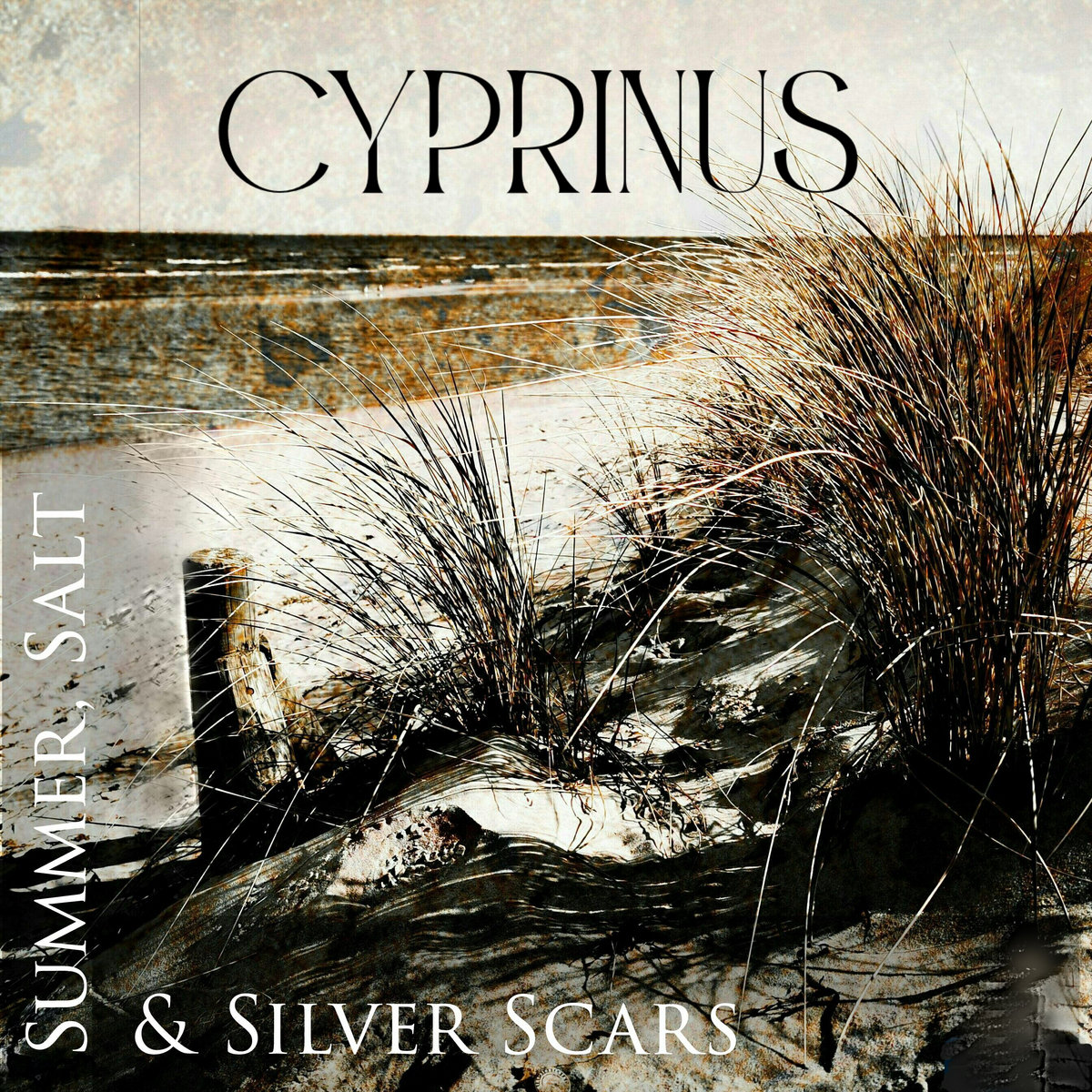 Summer, Salt and Silver Scars | Cyprinus