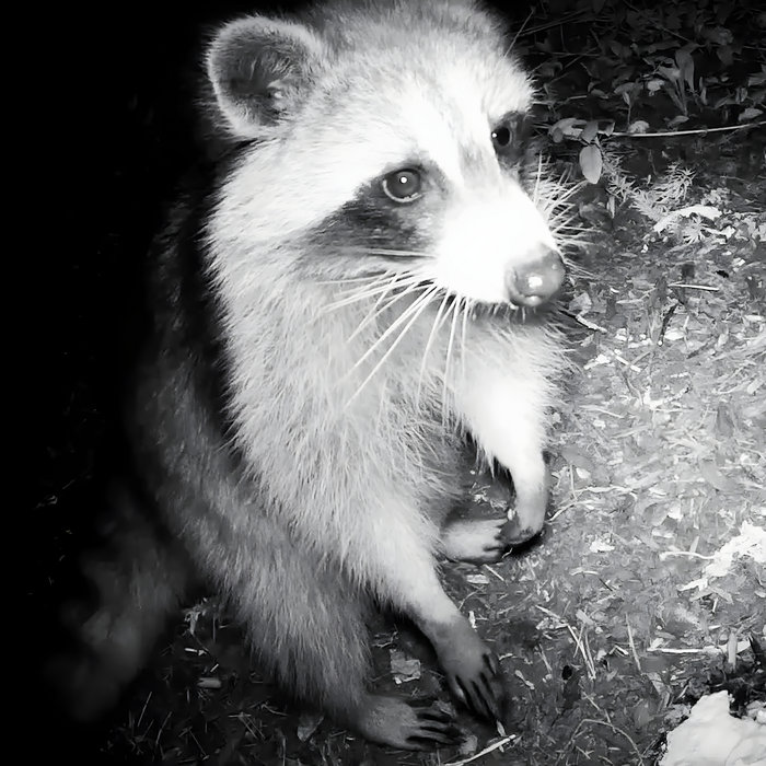 three covers | possum point