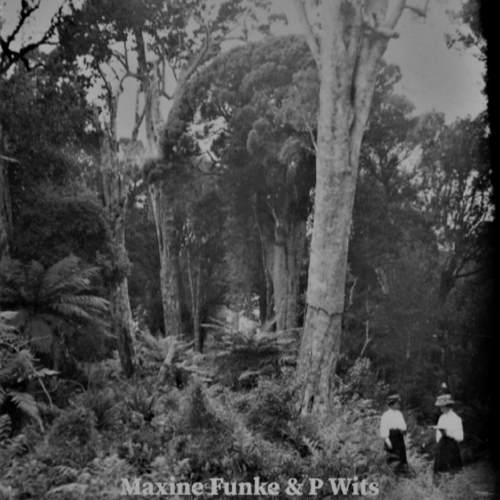 FOREST PHOTOGRAPHER SINGLE | maxine funke and p wits | maxine funke