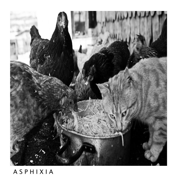 ASPHIXIA | ROBPARANOID