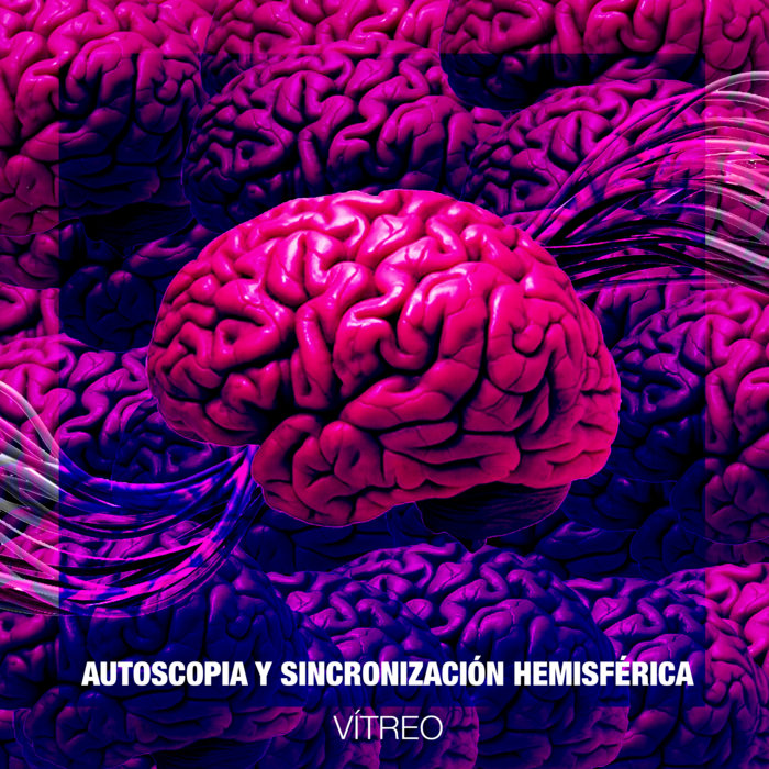 Autoscopia y Sincronización Hemisférica | Vítreo | Vitreo