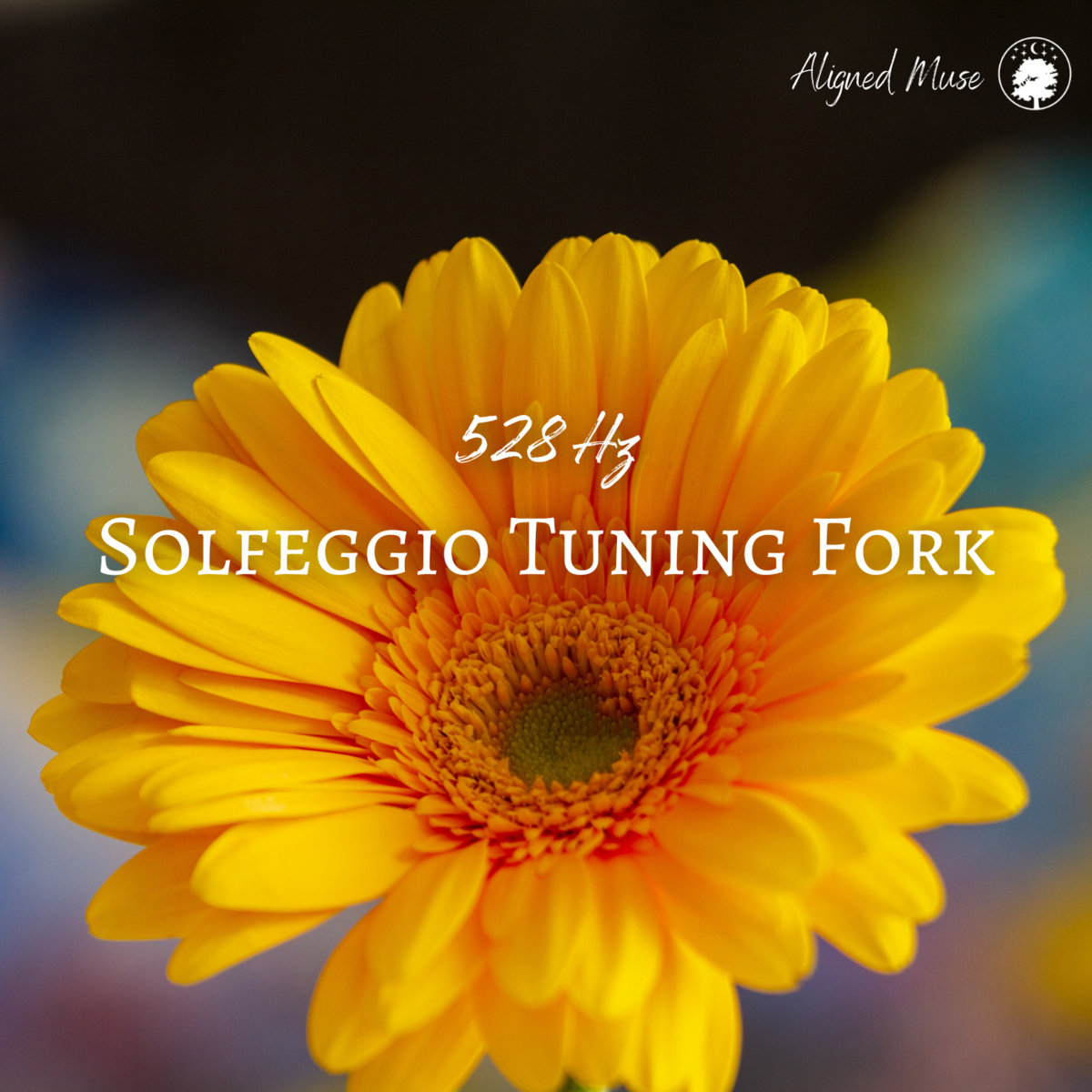 528 Hz Solfeggio Tuning Fork | Aligned Muse