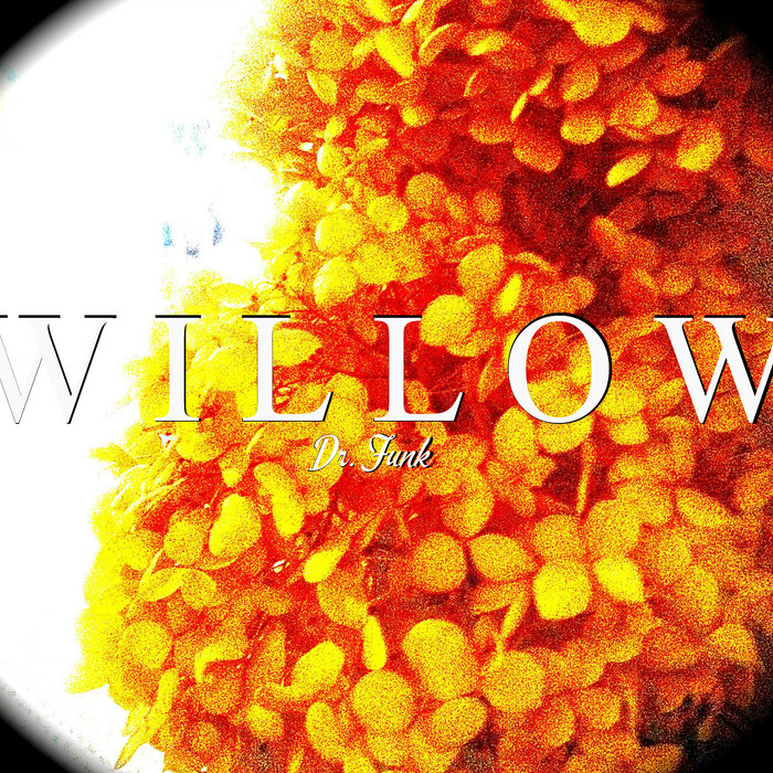 WILLOW | Dr. Funk