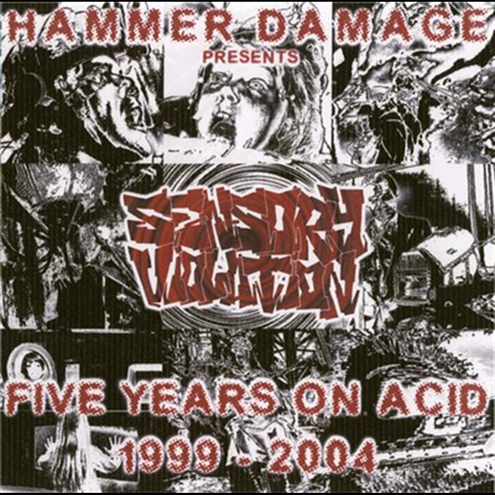 Five Years On Acid 1999 2004 | Hammer Damage