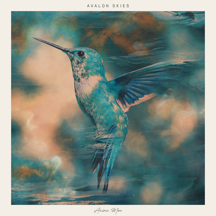 Anima Mea | Avalon Skies